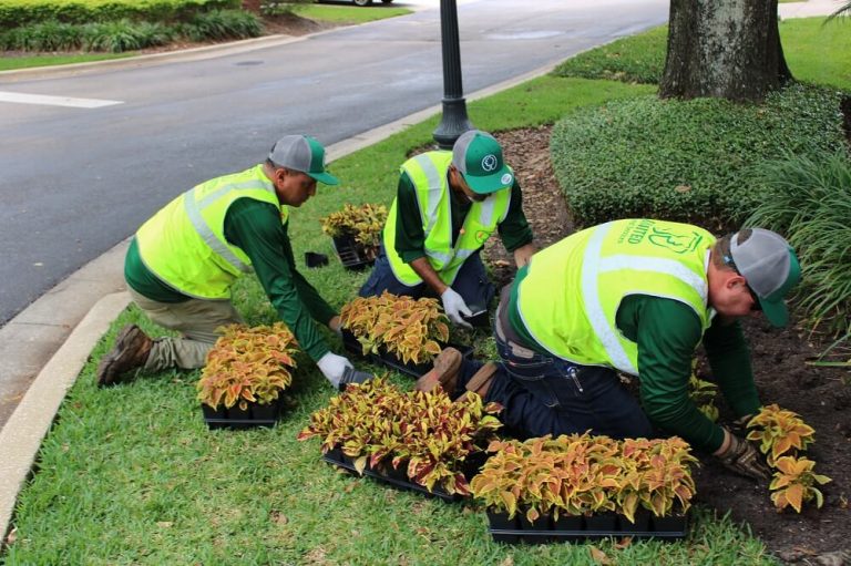 Landscape Design & Installation Services