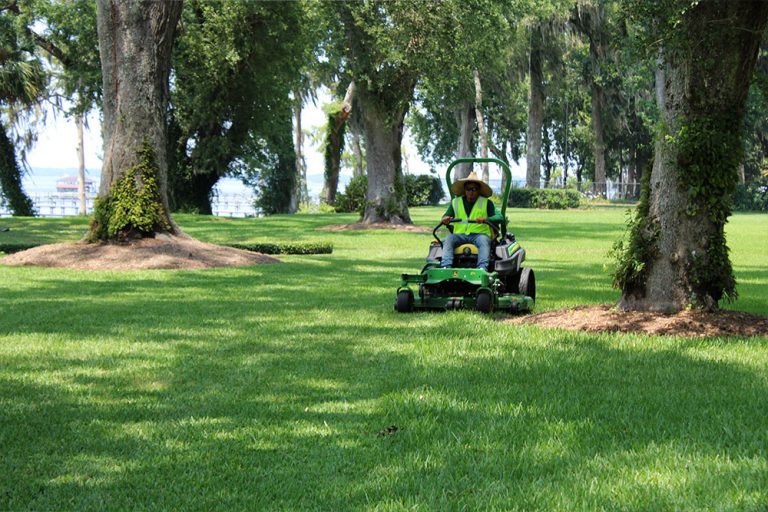 Commercial Landscape Maintenance Services | Year-Round Property Care
